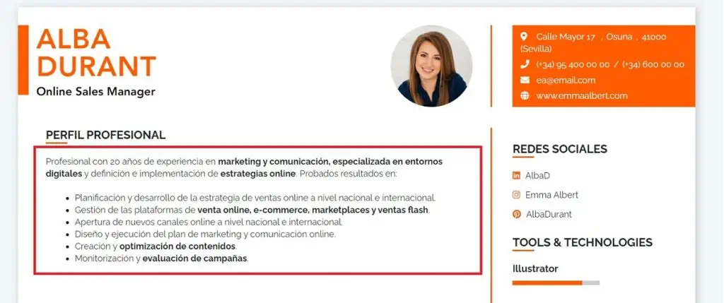 Perfil profesional - El Mejor CV!